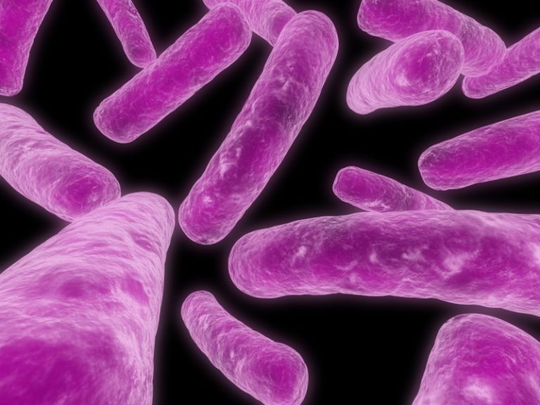 Bacteria - purple | Healthy Headlines