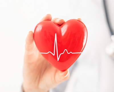 St. Elizabeth Physicians - Official Homepage